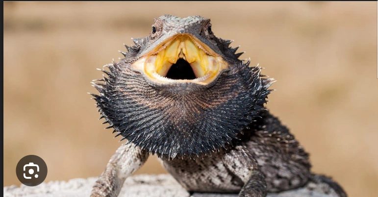 i'm so bored | Fandom