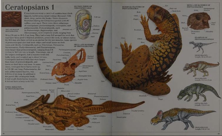 Discuss Everything About Dinopedia | Fandom