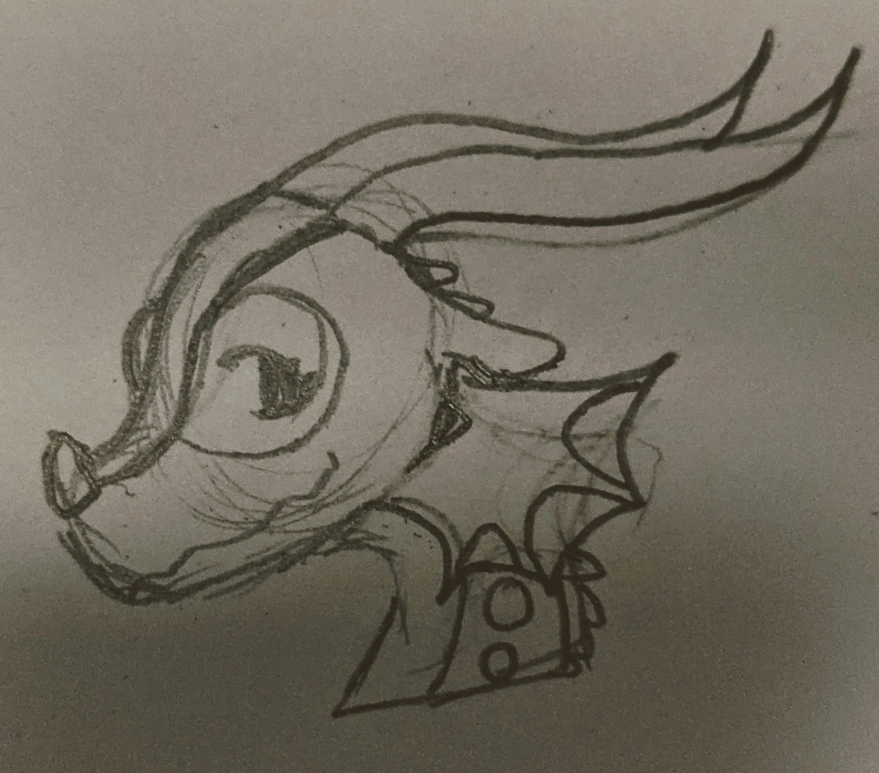 kewl rainwing | Fandom