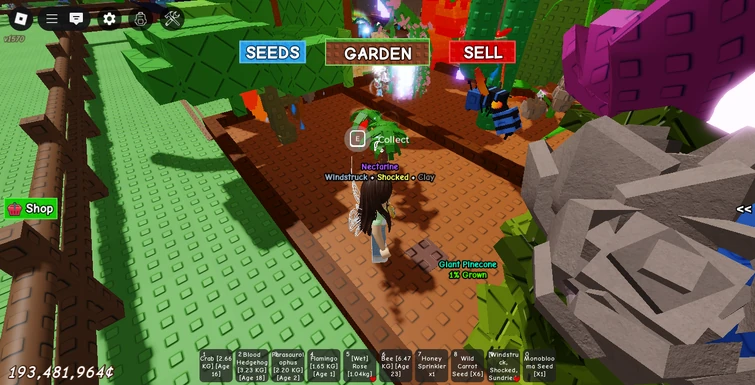 MY GOLD LAB DUG UP A GIANT PINECONE SEED | Fandom