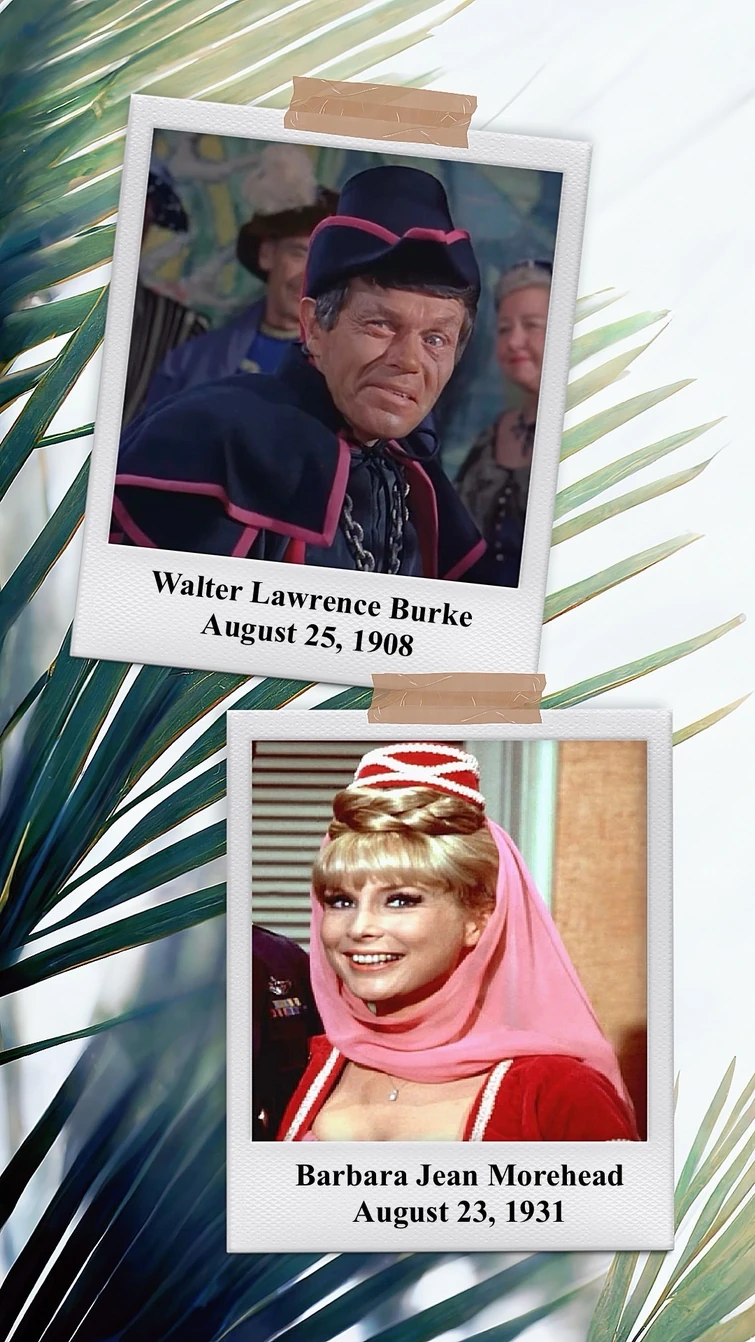 Discuss Everything About I Dream of Jeannie Wiki | Fandom