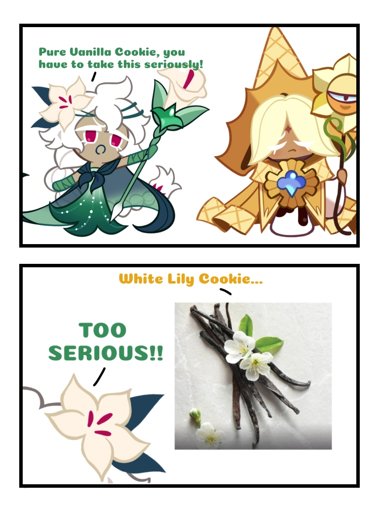 Too serious | Fandom