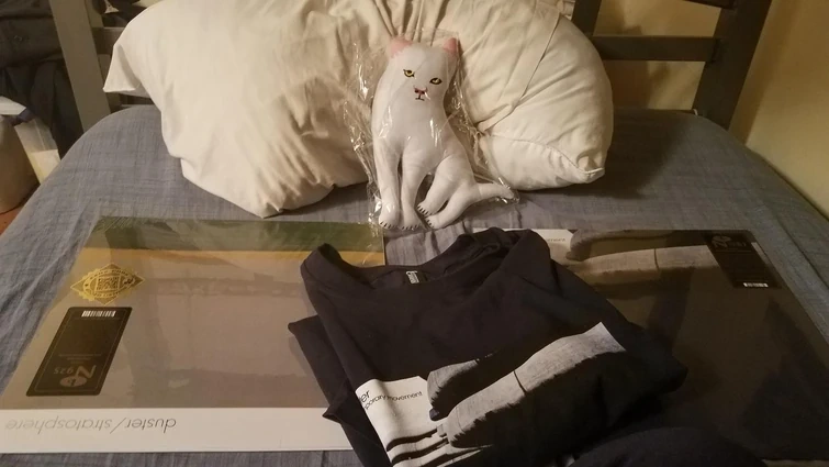 duster cat :) | Fandom