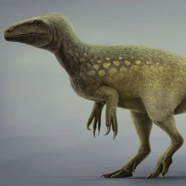 Discuss Everything About Dinopedia | Fandom