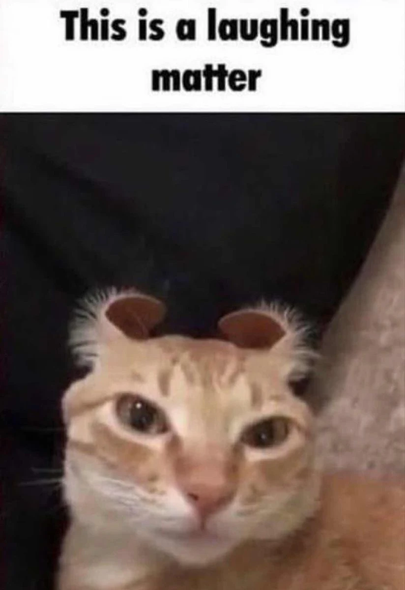 Haha one has no friends | Fandom