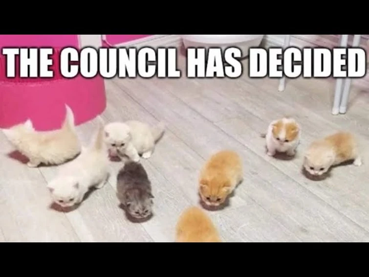 Three Fat Cats/ Jk | Fandom