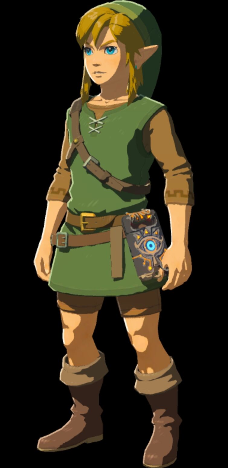 I just realized why link slept for 100 years | Fandom