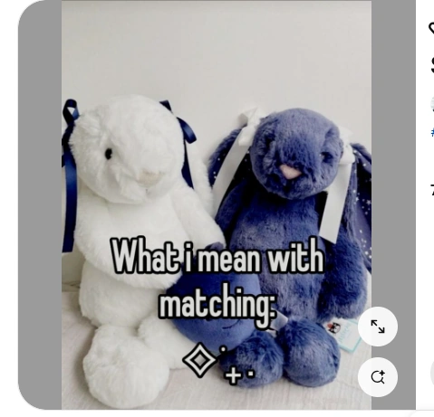 Those might be kanamafu bunny plushies | Fandom