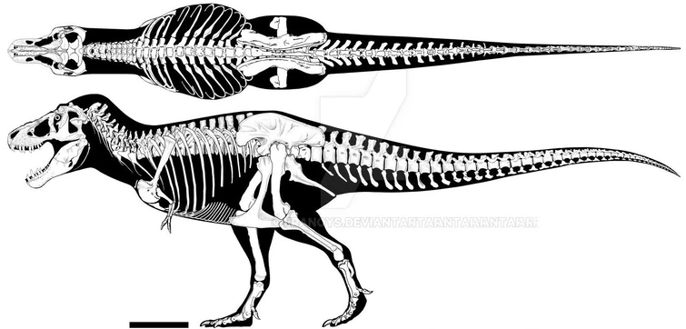 Tyrannosaurus rex holotype by Franoys | Fandom