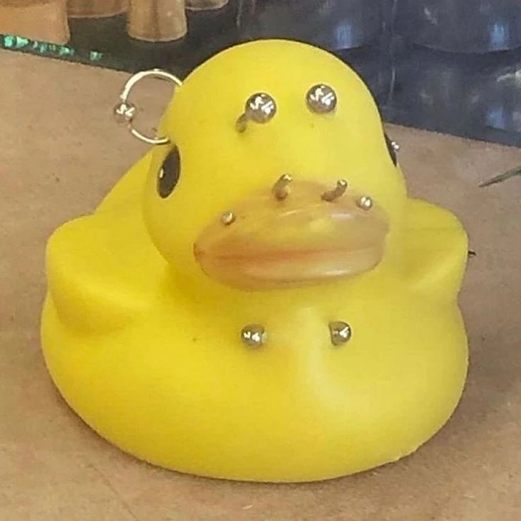 Emo duck | Fandom