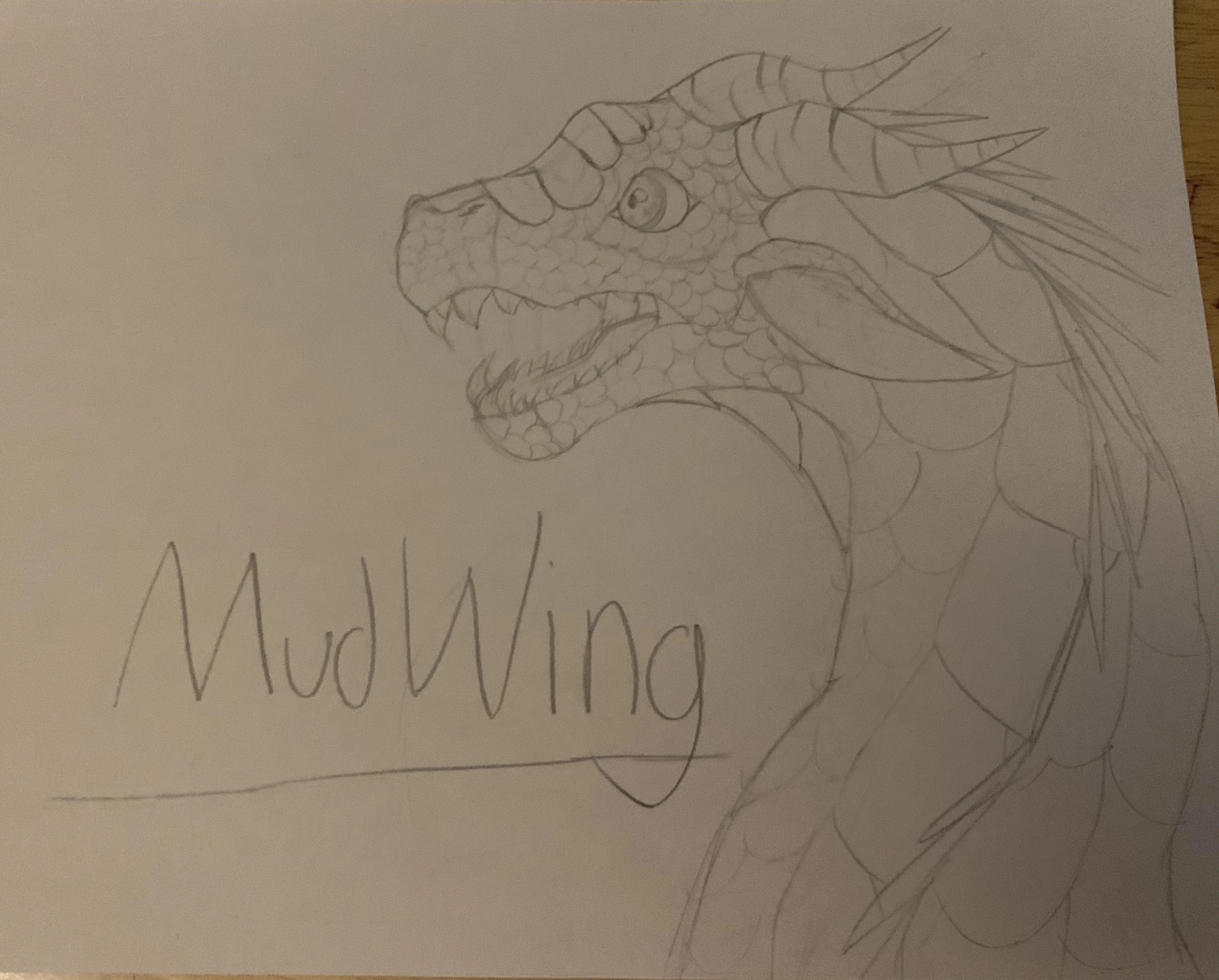 mud drawing | Fandom