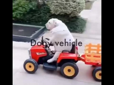 who agrees that the 24983th automotive festival of blibble's field ...