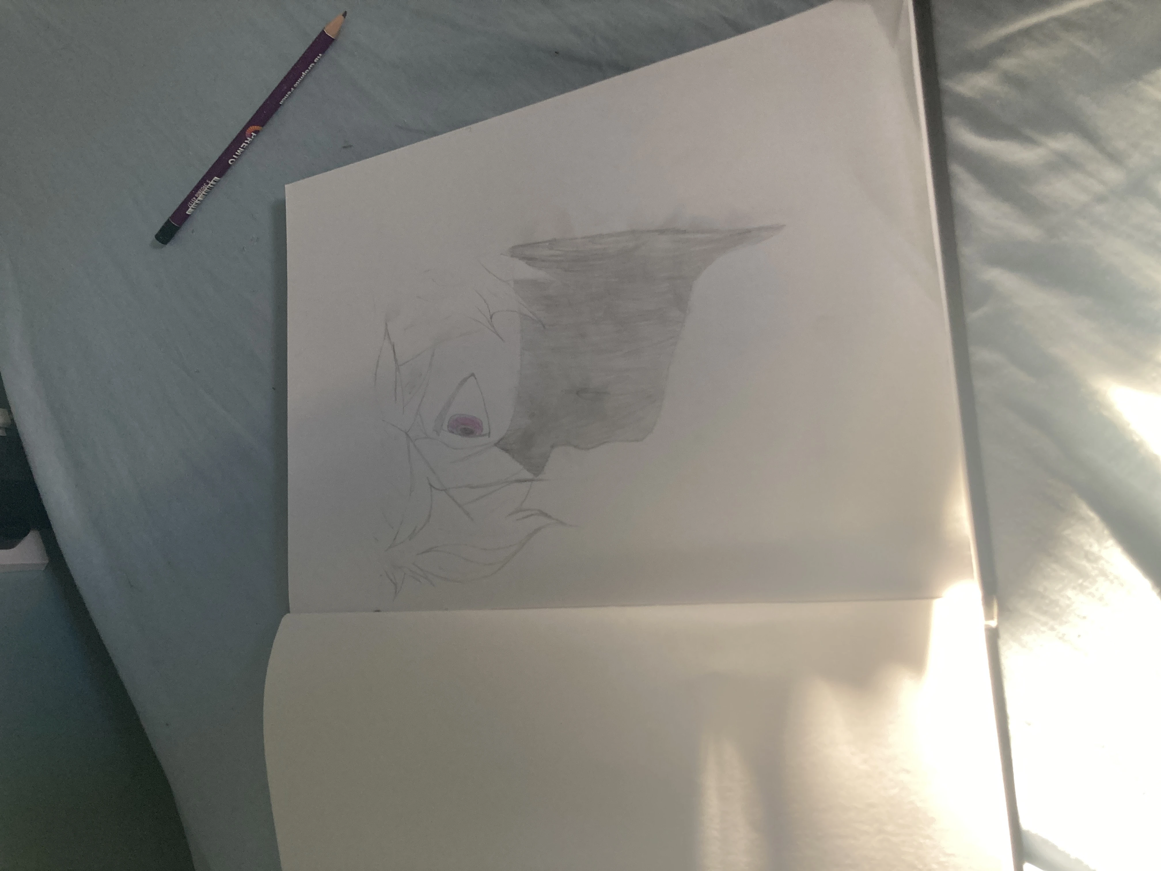 Another drawing grr | Fandom