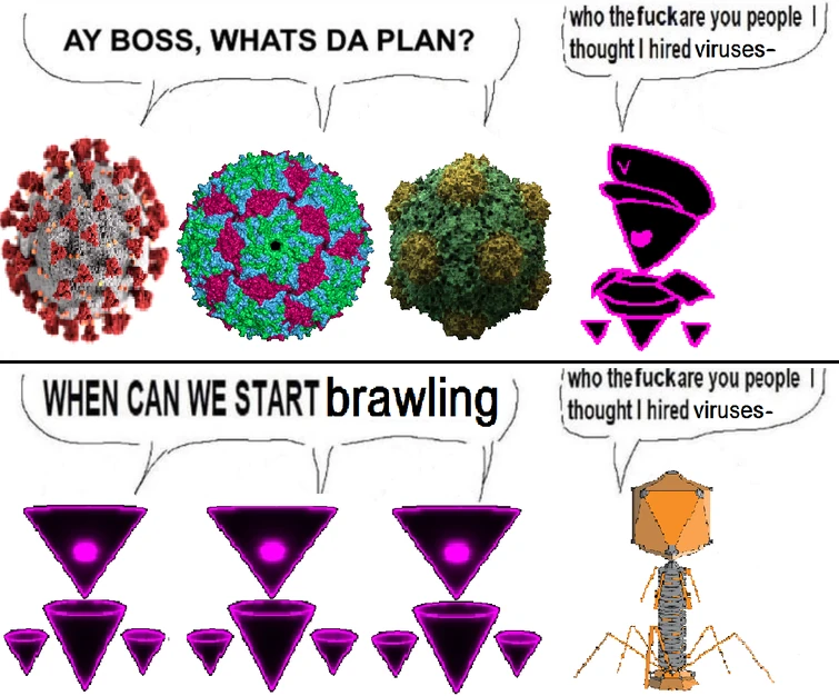 ay boss whats da plan | Fandom