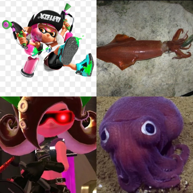 Proof of real life Splatoon | Fandom