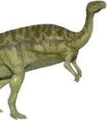 Which Bactrosaurus do you like most? | Fandom