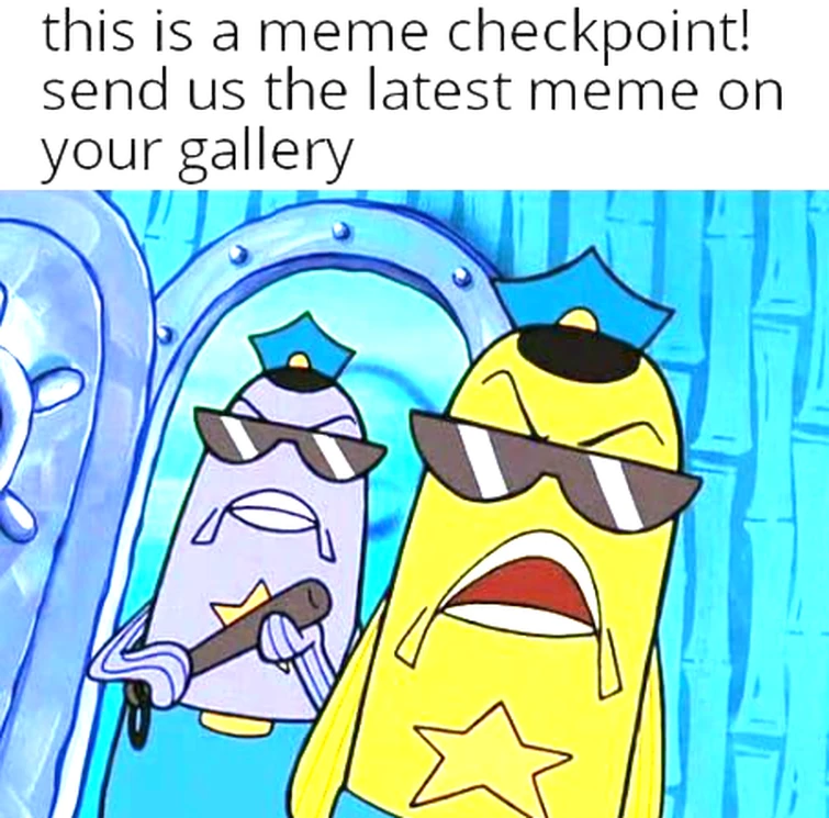 meme checkpoint (post your memes or get arrested) | Fandom