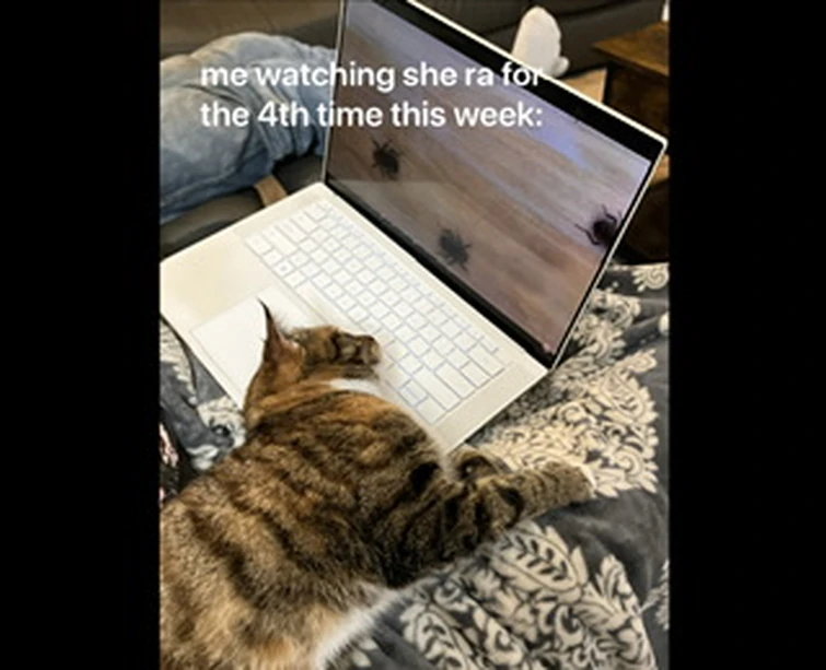 meme lololol | Fandom