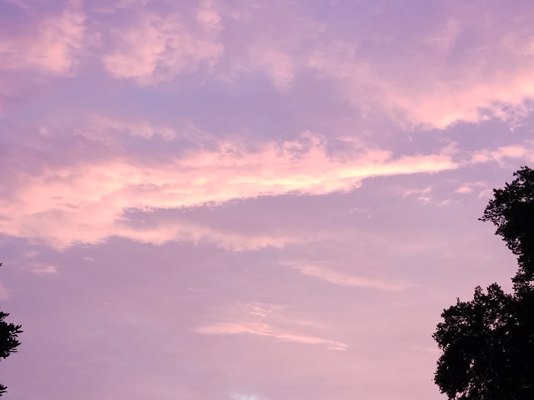 Haha outside is pink | Fandom