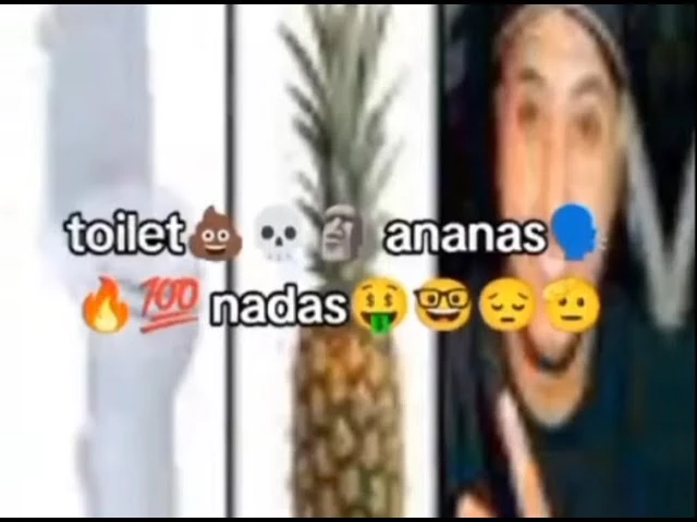 toilet ananas nasdasposting | Fandom