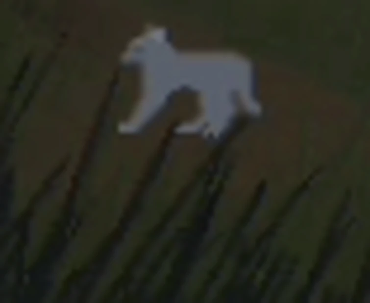 Discuss Everything About Npc Wcue Wiki | Fandom