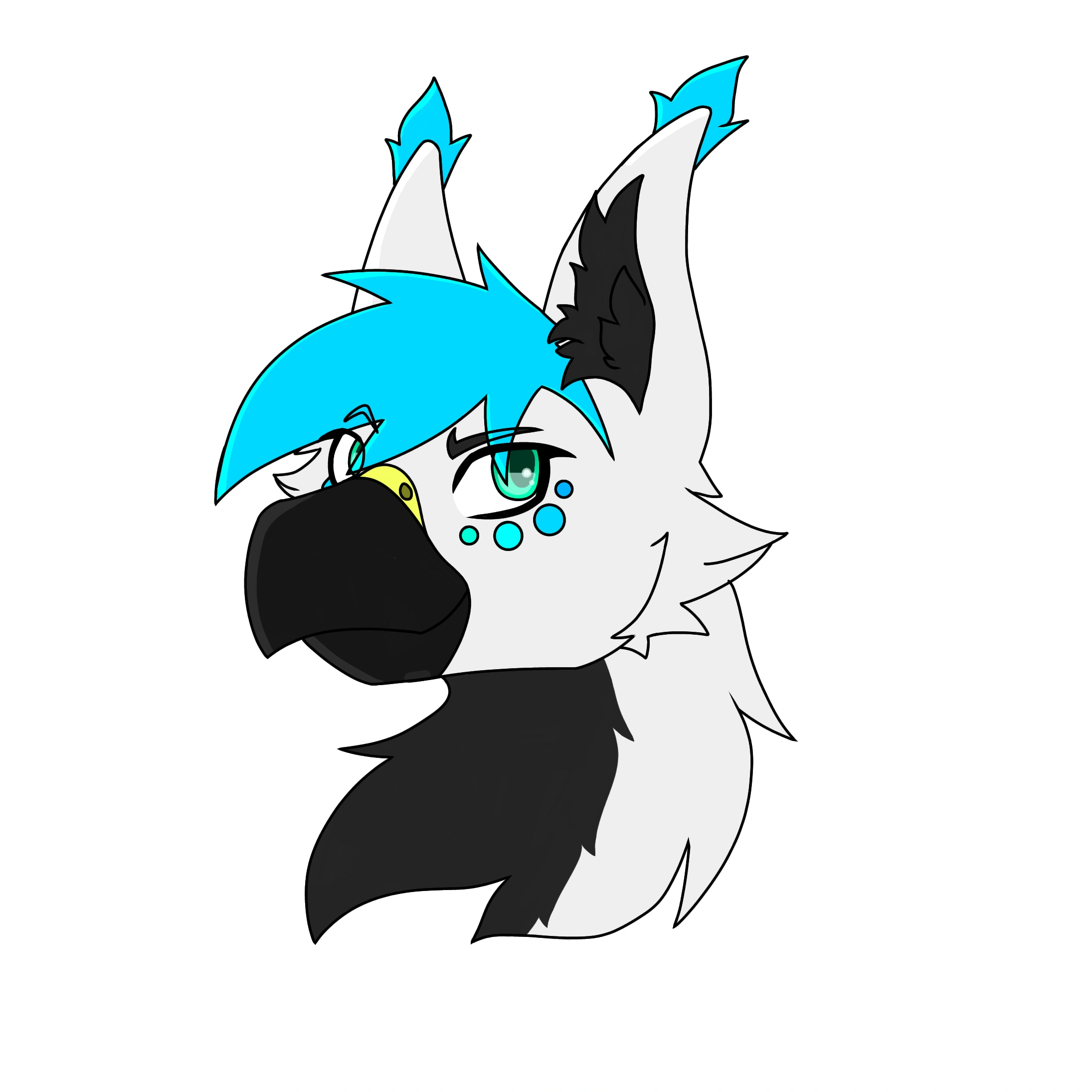 New Gryphon OC 👀 | Fandom