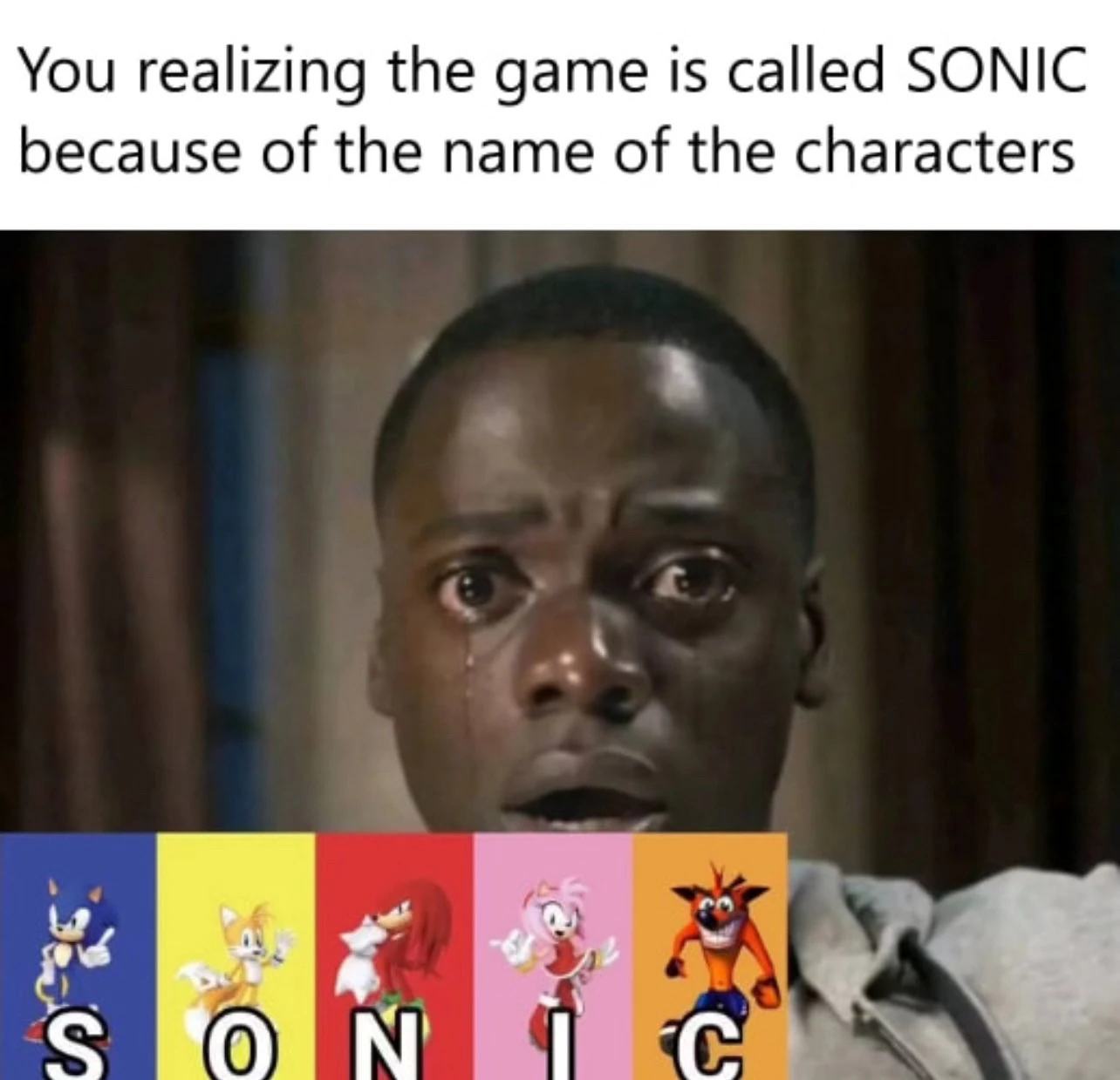 Sonic x Crash Bandicoot?! (it’s a meme guys) | Fandom
