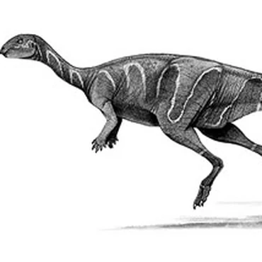 Discuss Everything About Dinopedia | Fandom