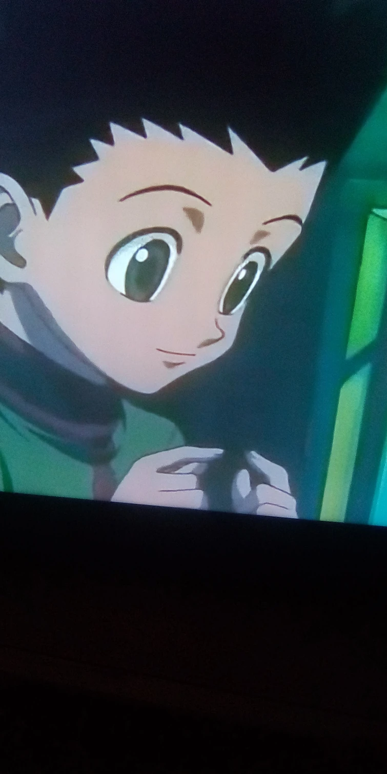 Watching Hunter hunter 1999 and gon is shy I guess👉👈 | Fandom