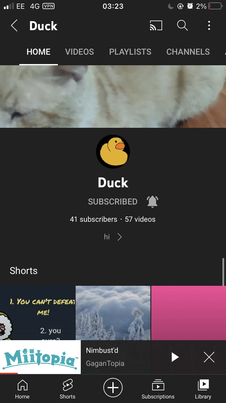 Quack! Quack! Quack! | Fandom