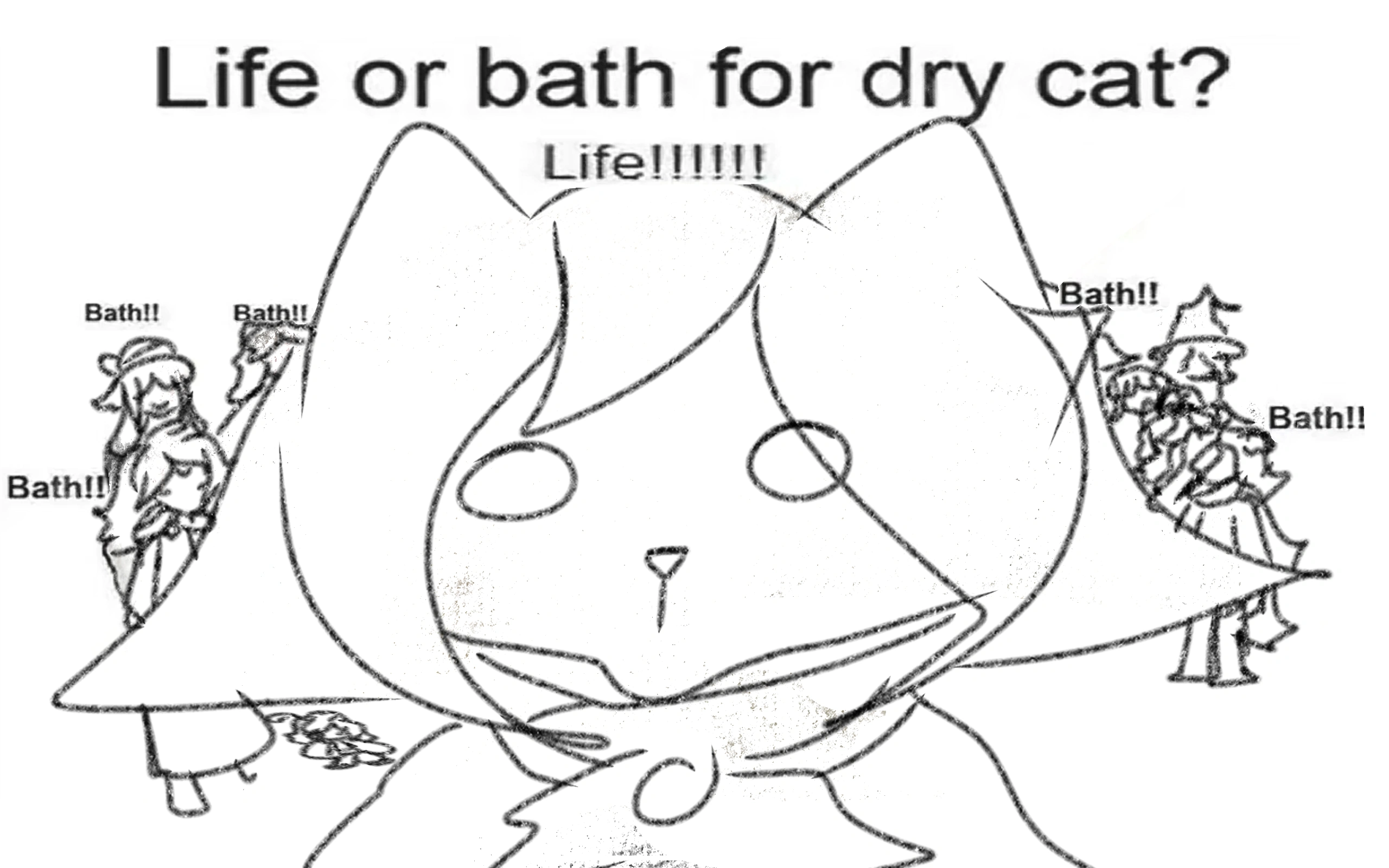life or bath for dry cat | Fandom