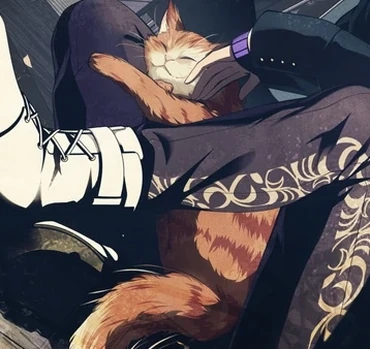 Which of Toya’s cats is the best (even though I’m pretty sure three of ...
