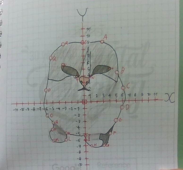 Had to draw the wawa cat for a class | Fandom