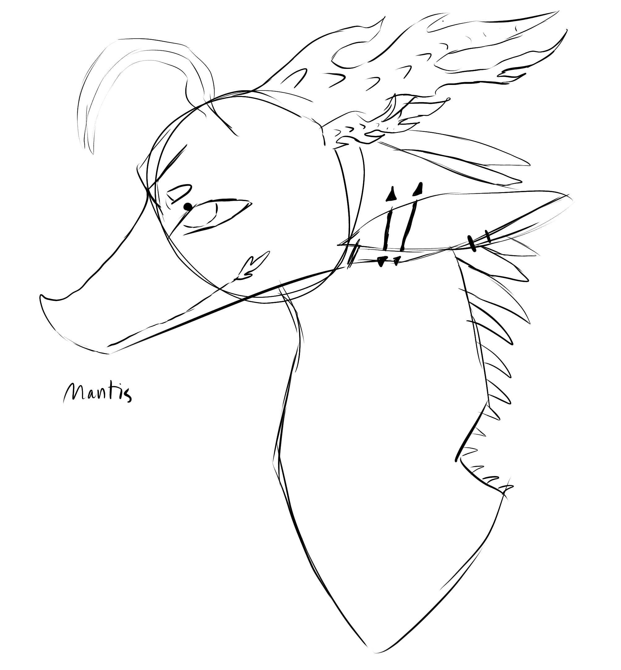 Idk here’s my gal Mantis | Fandom