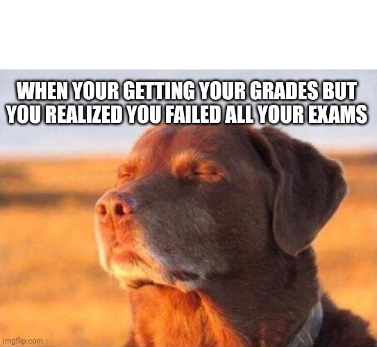 Whallah I'm cooked | Fandom