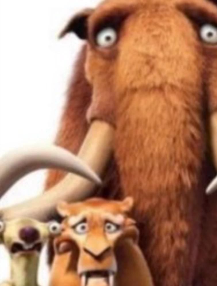 NOOOOOOOOOOOOOOOOOOOOOOOO | Fandom