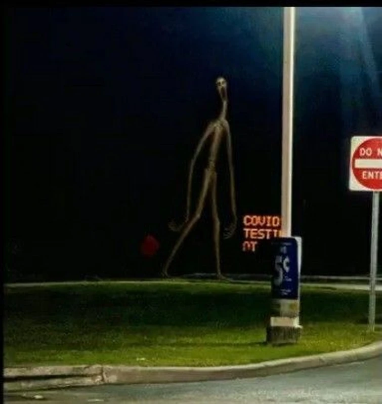 Entity image ideas | Fandom