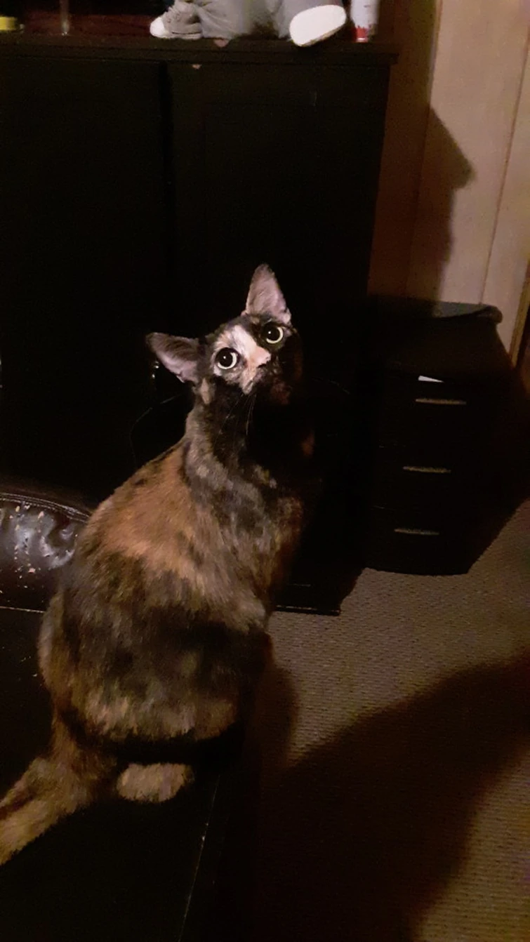 June Compilation | Fandom