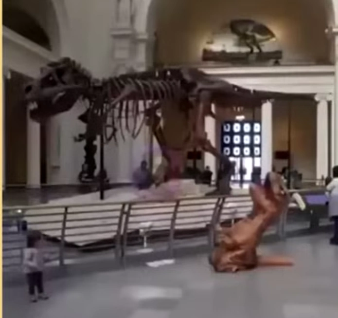 dinosaur: NOOOOOOOOOOOOOO- | Fandom