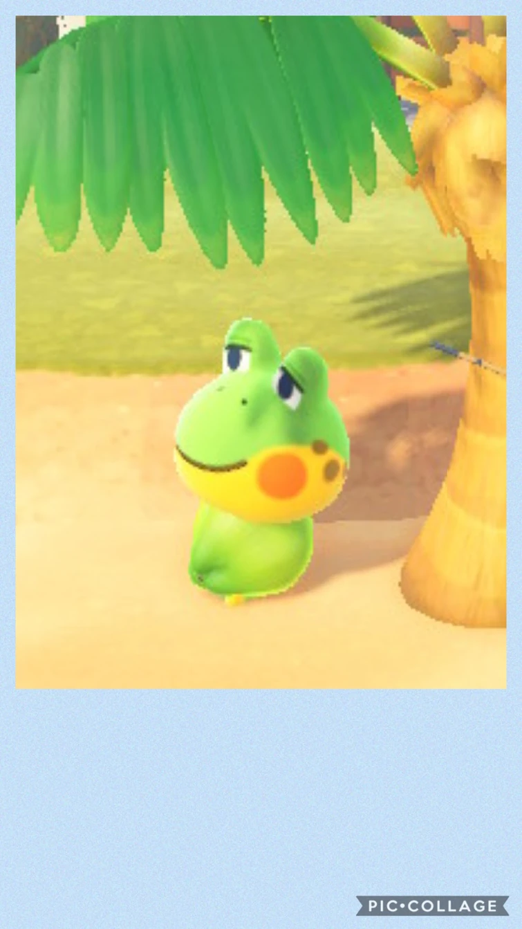 Discuss Everything About Animal Crossing Wiki | Fandom