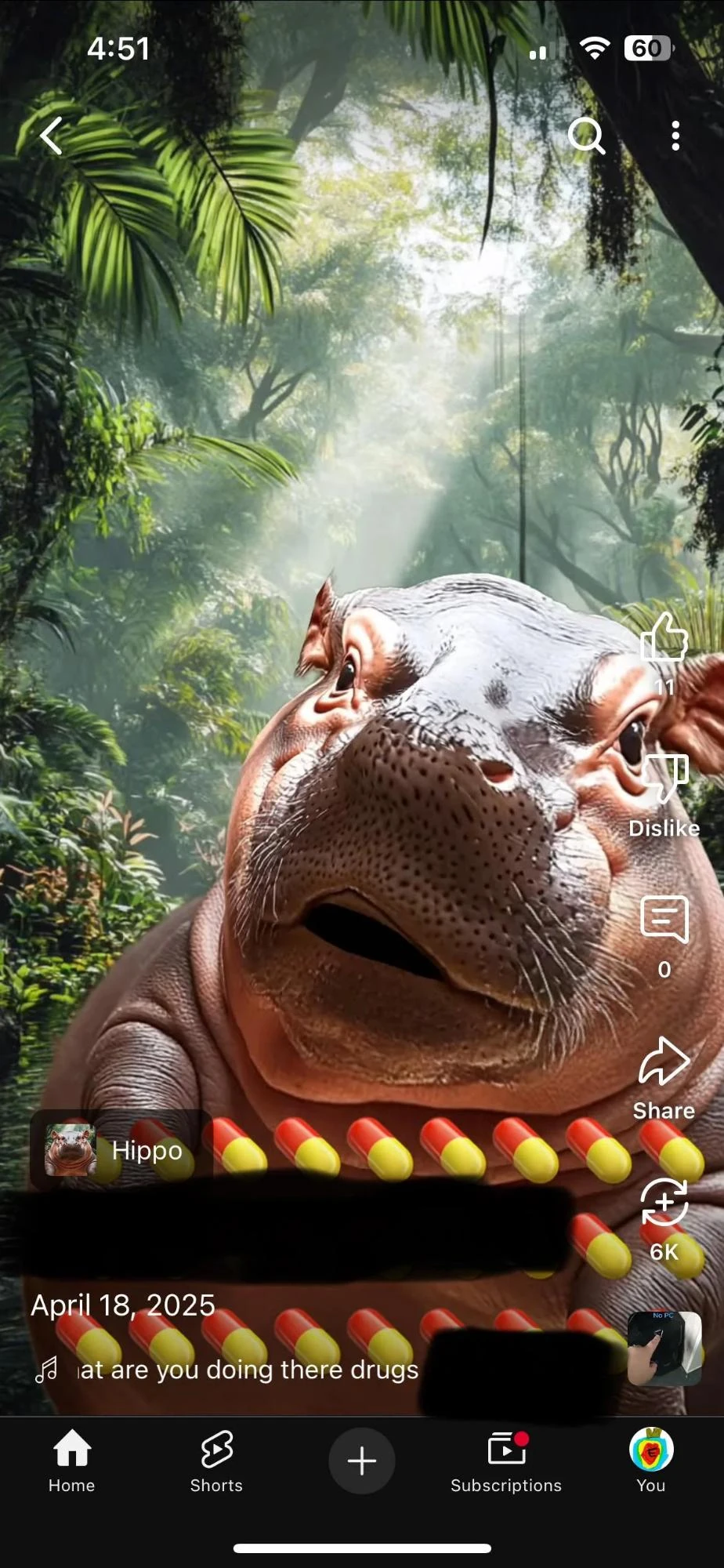 Hippo commercial (image not mine) | Fandom