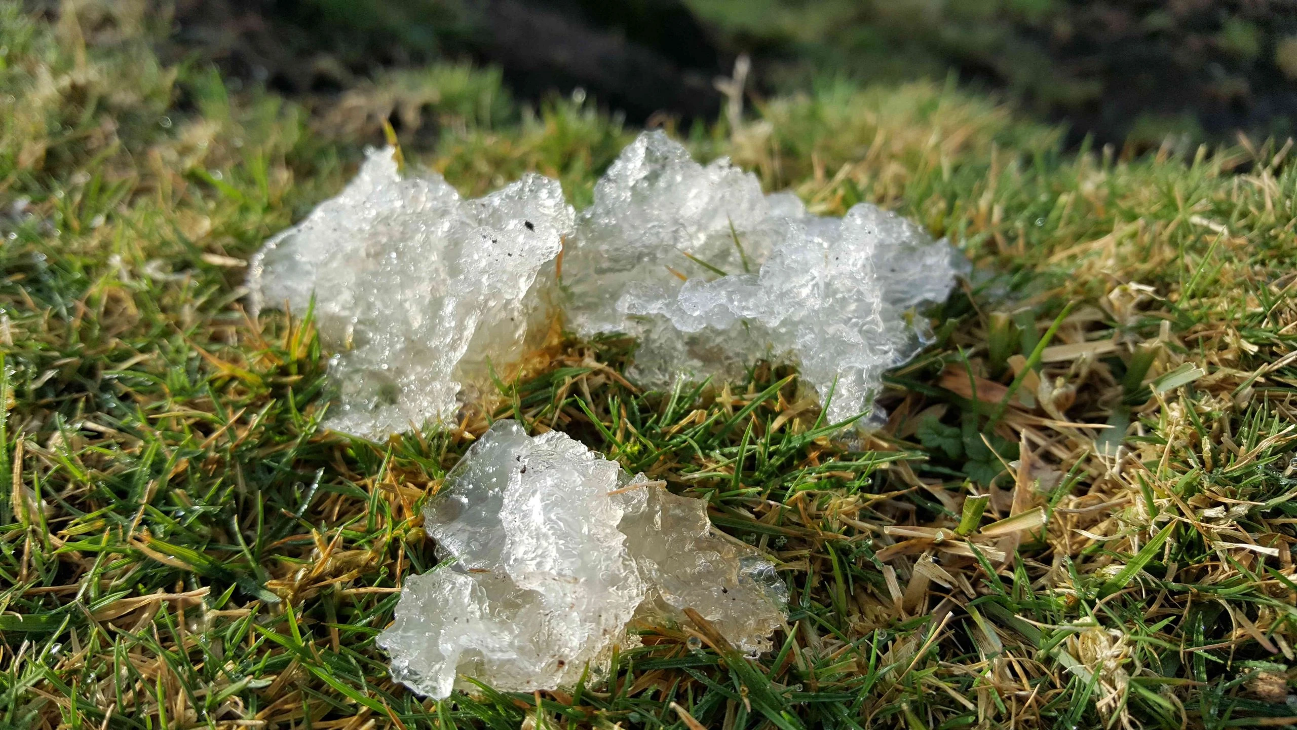 googling random items from.. google | Fandom