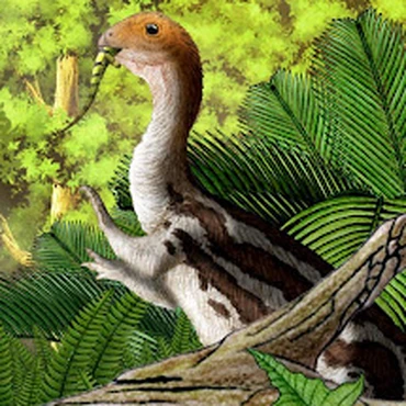 Discuss Everything About Dinopedia | Fandom