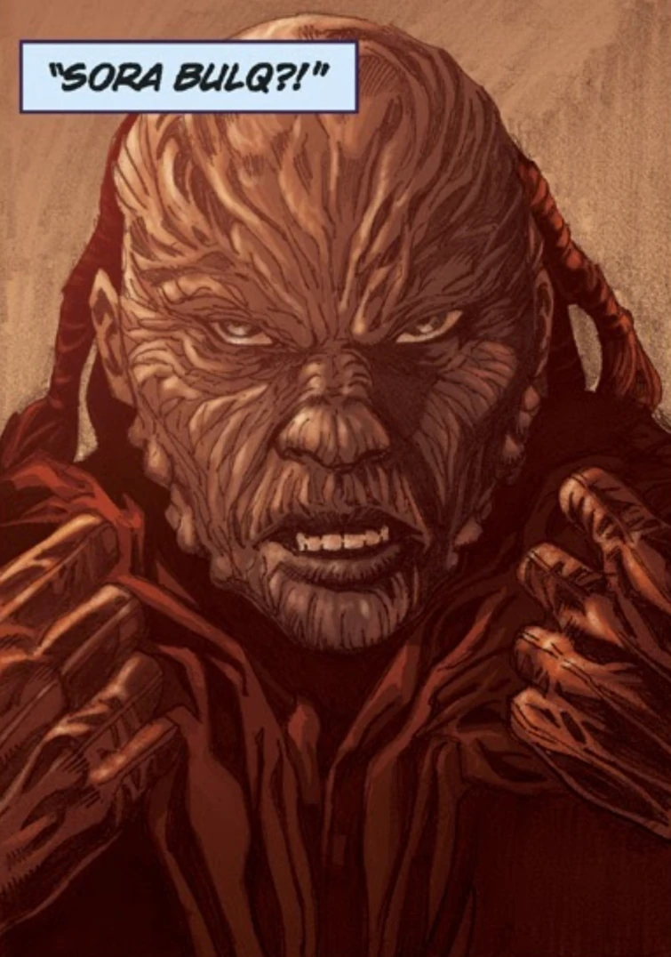 What do you like most about Sora Bulq? | Fandom