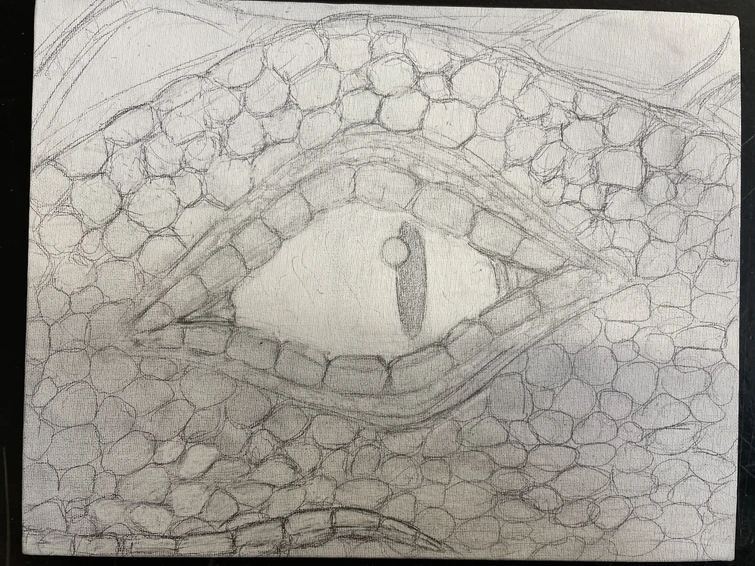 doragonix eye | Fandom