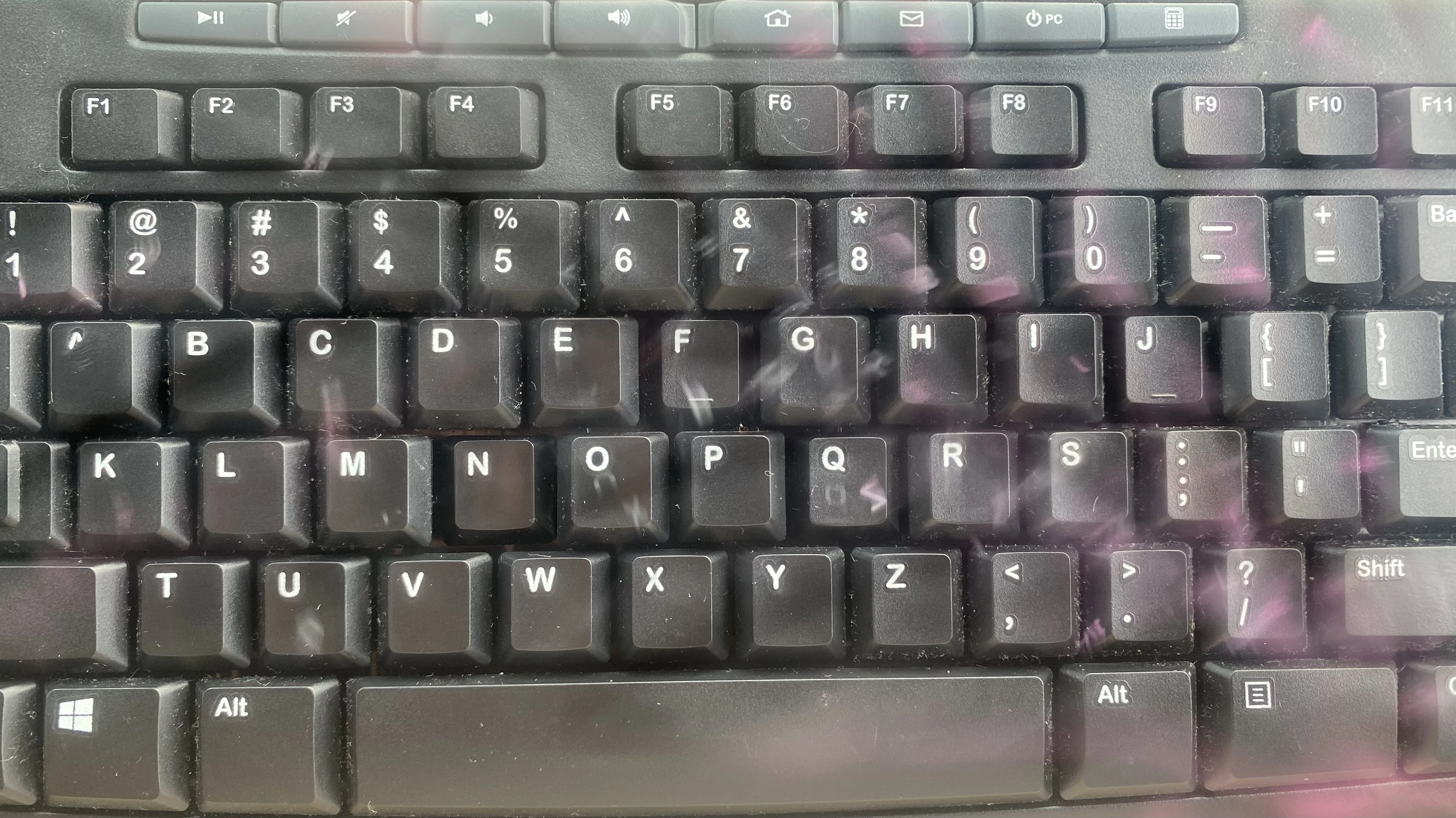 I decided to clean my bros laptop | Fandom