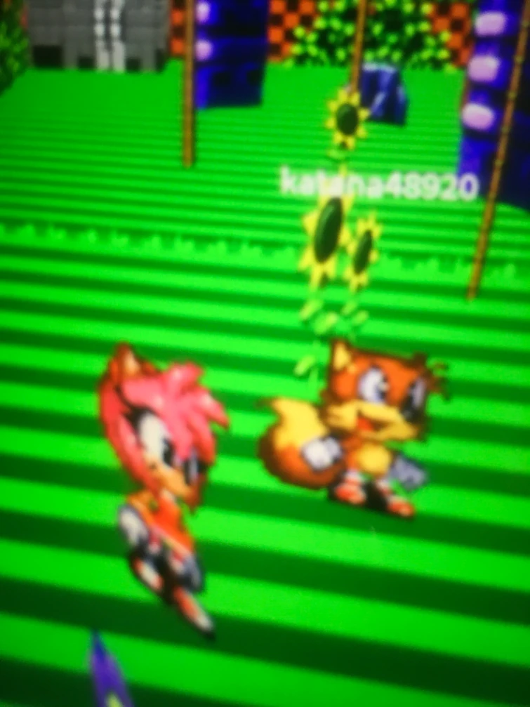 Amy rose meets AOSTH tails | Fandom