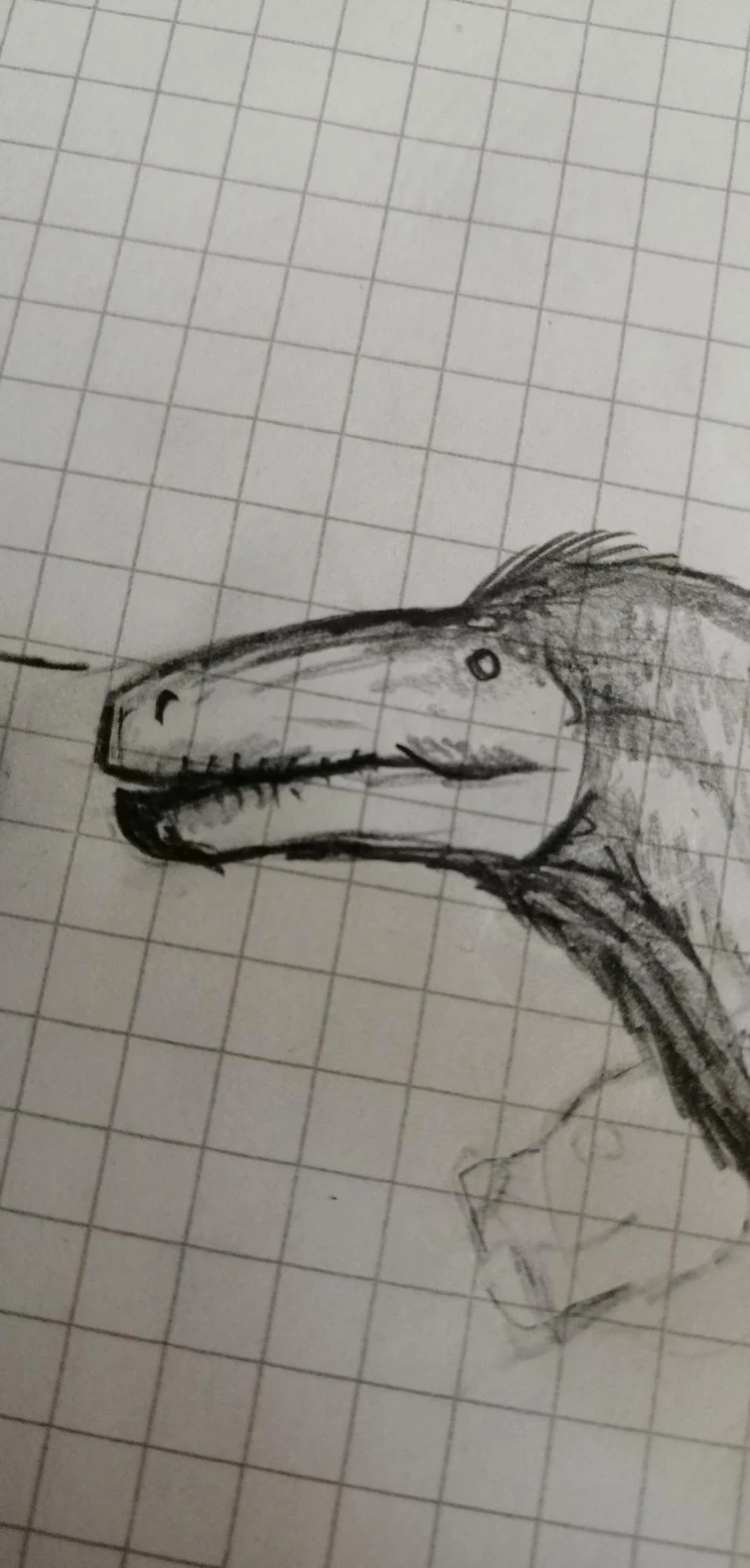 How accurate is my Utahraptor drawing(1-10) (I think this is the most ...