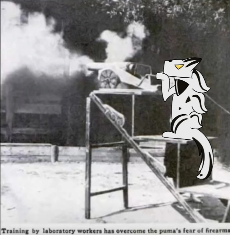 Discuss Everything About Cookie Run: Kingdom Wiki | Fandom