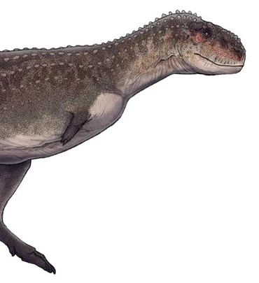 Discuss Everything About Dinopedia | Fandom